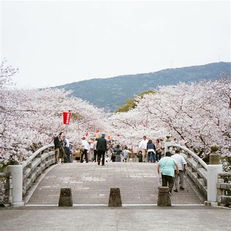 Nagasaki Odyssey 2026 All You Need To Know Before You Go With Photos