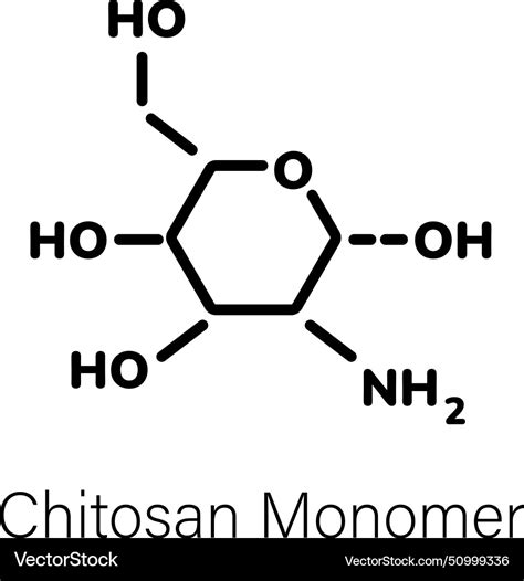 Chitosan Monomer Royalty Free Vector Image Vectorstock