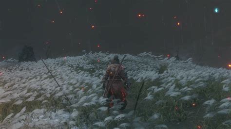 Bullying Inner Isshin As Shura The Demon Wolf In Red Rsekiro