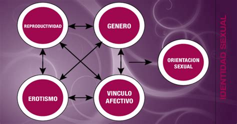 Psicología Desarrollo De La Vida Holones