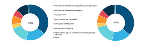 Gmp Cell Therapy Consumables Market Hit 5998589 Mn By 2028