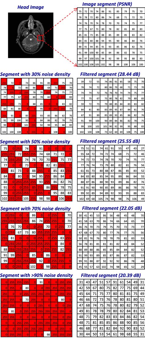 Illustration Of The Proposed Filtering Algorithm For Various Noise Download Scientific Diagram