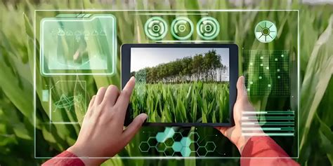 Tof Technology In Crop Monitoring Enhancing Efficiency And Precision