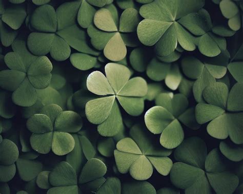 Premium Ai Image Clover Texture