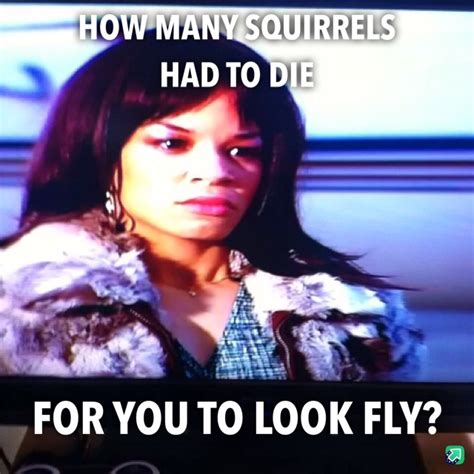 How Many Squirrels Had To Die For You To Look Fly Meme On Imgur