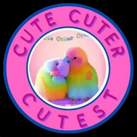 Cute Cuter And Cutest Youtube