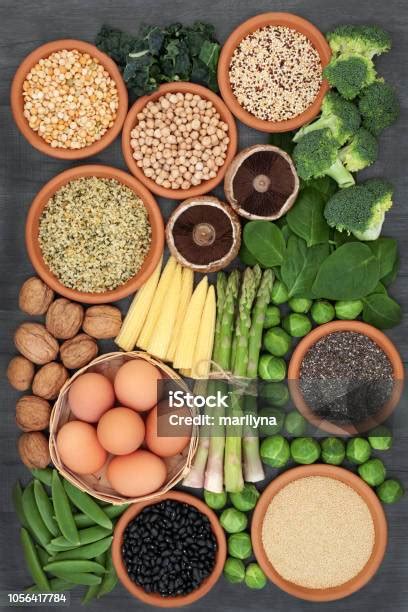 Pilihan Makanan Protein Tinggi Sehat Foto Stok Unduh Gambar Sekarang Alamiah Kondisi