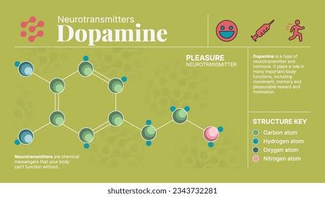 Dopamina Neurotransmisor Hormona Estructura Química Un Vector De