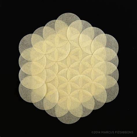 Tissue Paper Collage By Marcus Fizgibbons Parchment Paper Art Flower