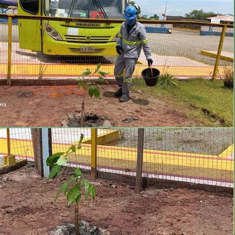 Meioambiente Cuidardoplaneta Sesmt Conscientização Stela Freitas
