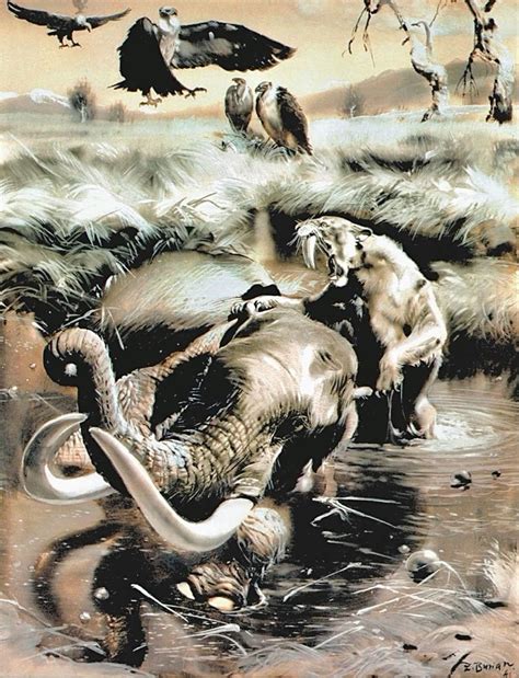 Extinct Sabertooth Cat Smilodon Prehistoric Animals Smilodon