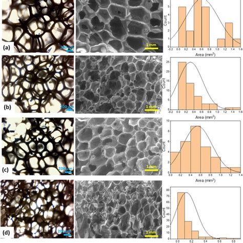 Om Images With A Magnification Of ×5 Sem Images And Pore Size