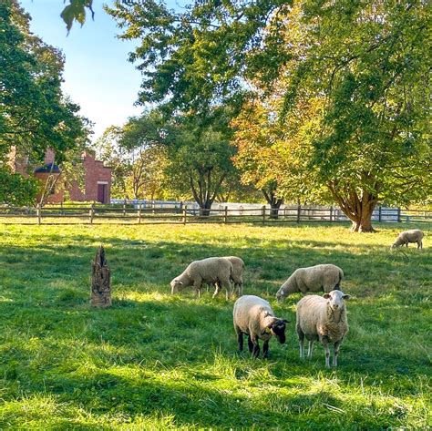 Stay In Nauvoo — Visit Nauvoo