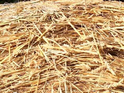 Premium Photo Full Frame Shot Of Hay