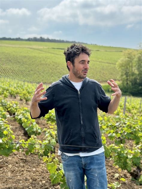 Vine Trail Roses De Jeanne Cédric Bouchard Rdj N°02