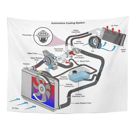 Car Radiator Diagram Automobile Cooling Radiator Engine