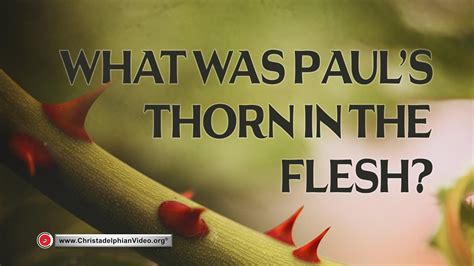 What Was Pauls Thorn In The Flesh Youtube