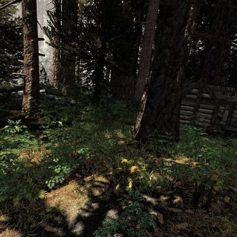 Complex Grass Lighting Comparisons Rskyrimvr