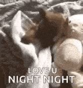 Want Sleep With You Meme Want Sleep With You Discover And Share S