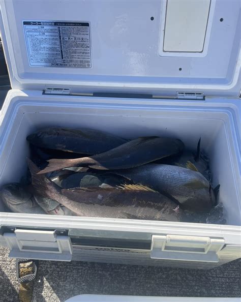 柏原渡船 昨日の釣果です 大風の中、皆さん頑張ってくれてました ツナカケでは何故か良型イサギが爆釣！ クーラー3ついっぱいでした グレもボツボツとあがりはじめましたが、 やはり尾長が多い