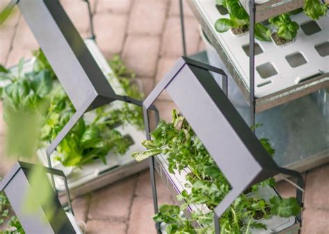 Ikea Moves Into Indoor Gardening With Hydroponic Kit
