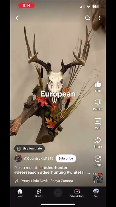 27 January 2025 Fyp Algorithm Deer Rack Hunting Youtube