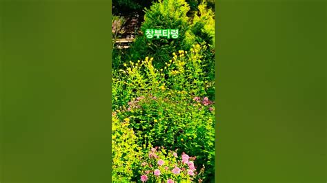 장민💕⚘️💙🥀👍🌿 ️😘 Youtube