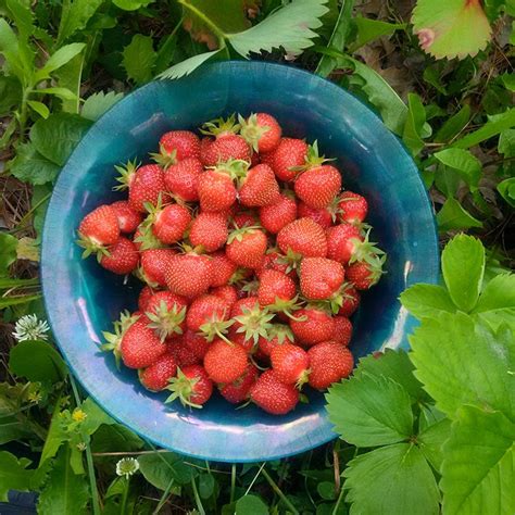 Photography By Holly Lackner