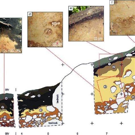 2 Drawings And Photographs Of The Walls Of Archaeological Trench In