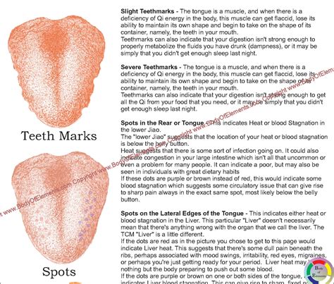 Tongue Diagnostics Chart