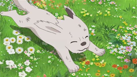 Akamaru Japanese Anime Wiki Fandom