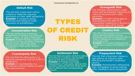 Types Of Credit Risk With Examples