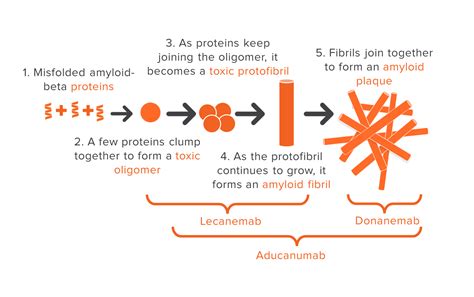 New Alzheimers Drug Donanemab What Is It And How Does It Work Alzheimers Research Uk