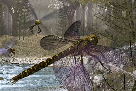 Meganeura Amigos De Los Dinosaurios Y La Paleontología