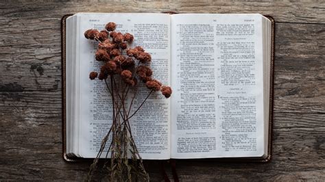 What Does Countenance Mean In The Bible The Holy Script