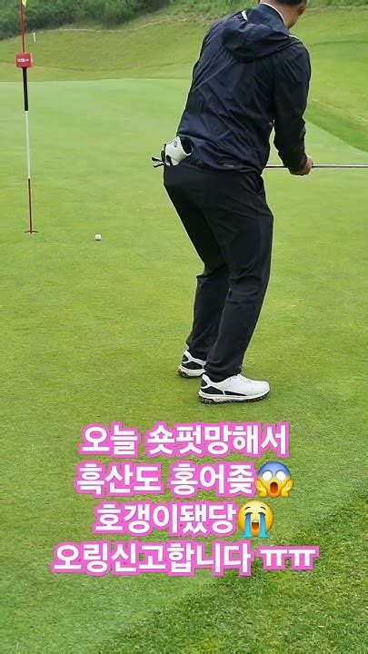 찐삘골호갱이됐당😱골프레슨아이언레슨필드레슨골프골프존퍼터퍼팅퍼터레슨퍼팅레슨비거리레슨드로우샷페이드샷드라이버샷레슨루틴숏게임숏게임레슨필드숏게임루틴