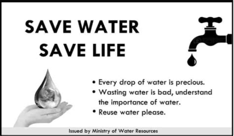 Cbse Class 11 English Posters