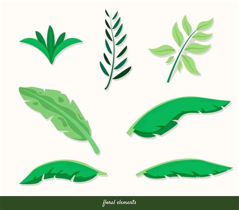 Premium Vector Gren Tropical Leaf Design Vector Element Set