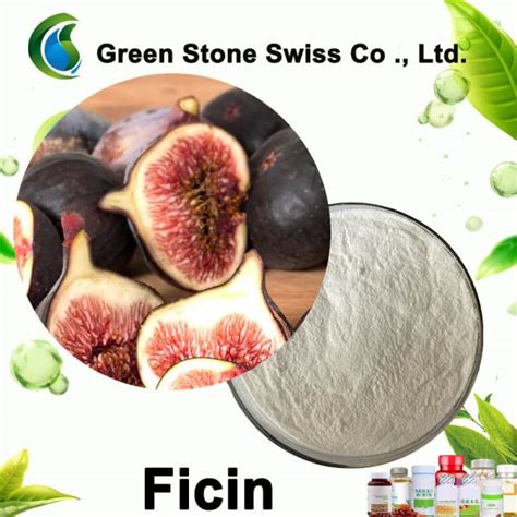 Ficin Cas 9001 33 6 Pricesupplymanufacturer