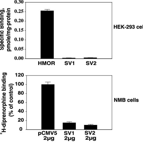 Schematic Of Splice Variant Sv1 And Splice Variant Sv2 Gene