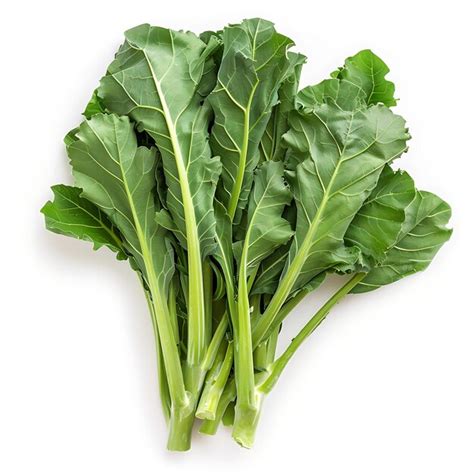 Premium Photo Kai Lan Chinese Broccoli Thick Green Stems With Small