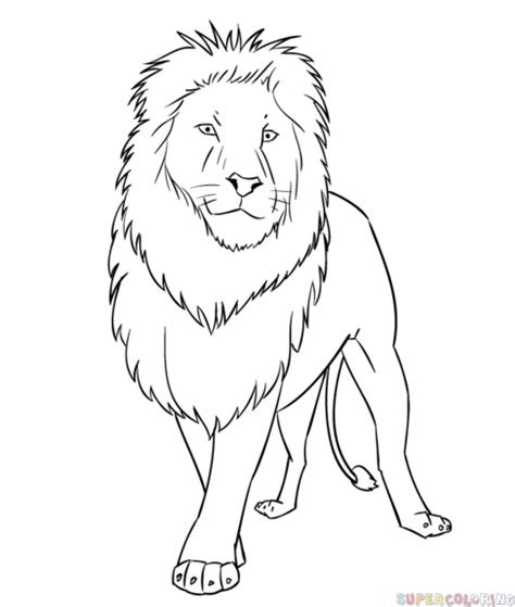 Cartoon Lion Drawing Sketch Drawing Skill