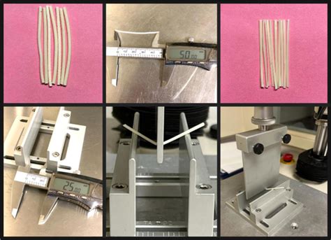 3 Point Bend Test Using Ta Xt2i Texture Analyzer Download Scientific