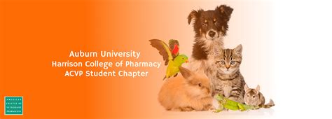 Acvp Harrison College Of Pharmacy