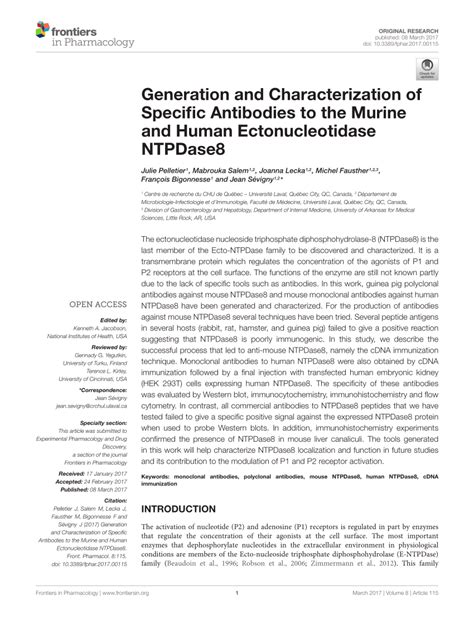 Pdf Generation And Characterization Of Specific Antibodies To The