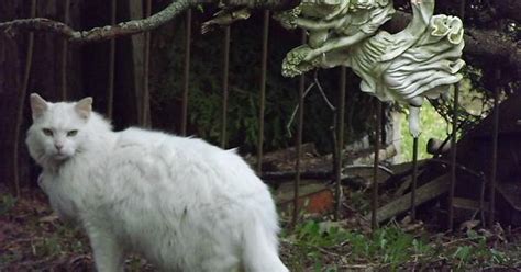 Rip Sid Album On Imgur