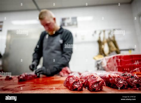 Rotterdam Employees Of A Poulterer Process Orders The Day Before