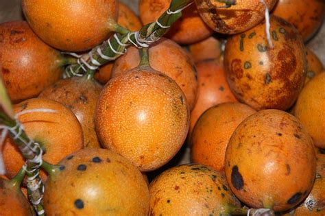 Sugar Fruits Passiflora Maliformis Sweet Calabash In Goroka Market