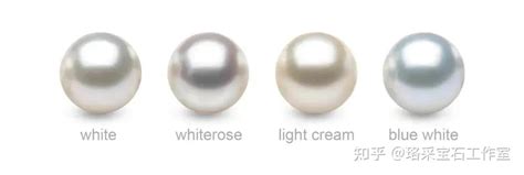 澳白珍珠介绍 知乎