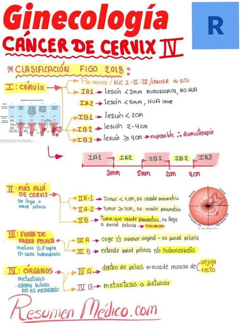 Resumen Clasificación De Cáncer De Cervix Figo 2018
